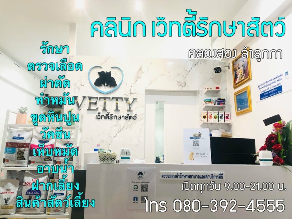 Vetty animal clinic (ปทุมธานี) รีวิว | Petmap.co ค้นหาร้านและที่เที่ยว ...